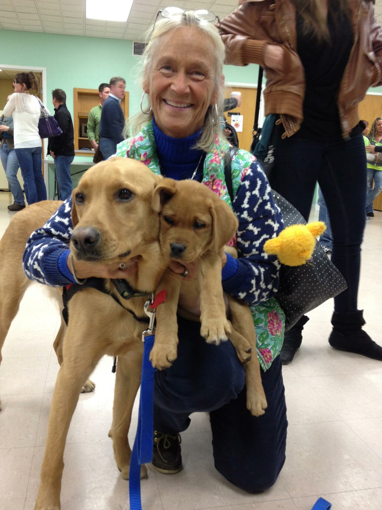 Puppy Jake Foundation - Discover our mission and what we do