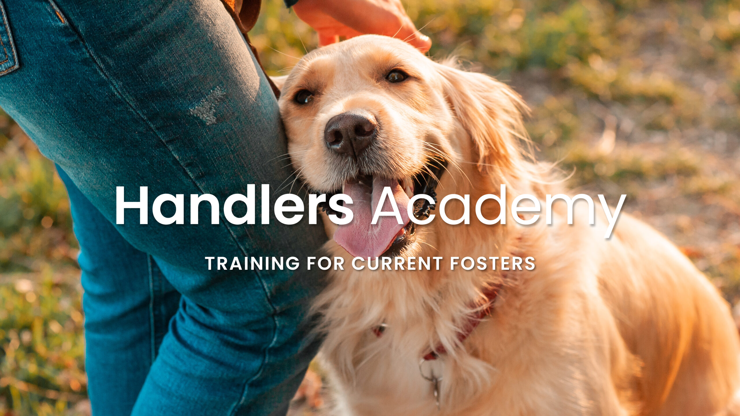 Puppy Jake Foundation - Find an upcoming event