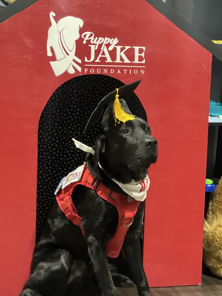 Puppy Jake Foundation - Connecting veterans and service dogs