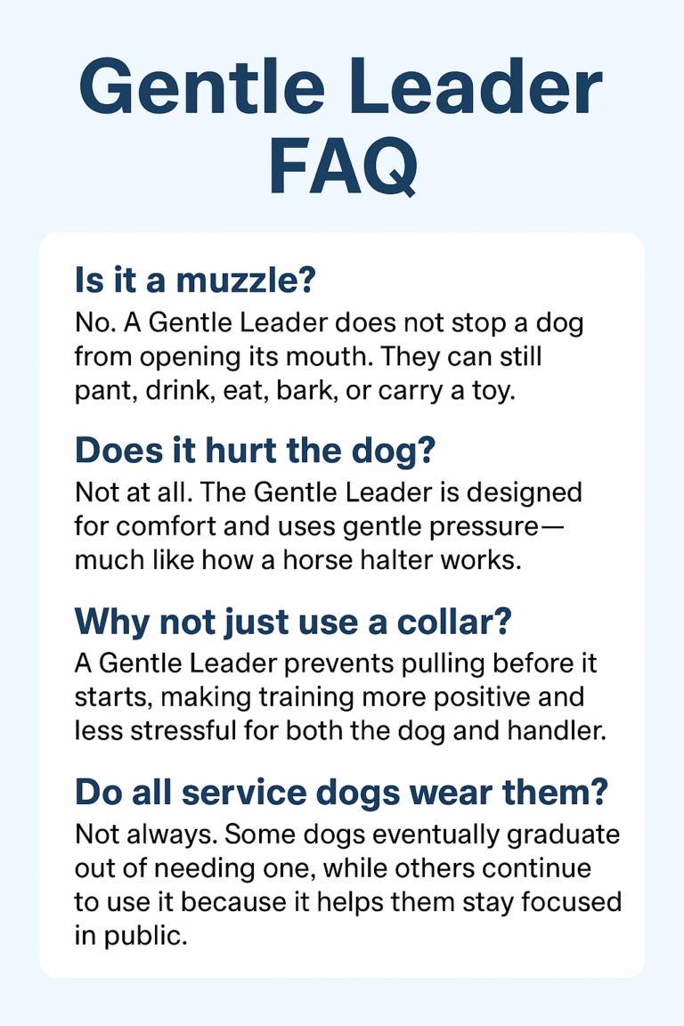 It’s not a muzzle (but it is important) - Puppy Jake Foundation